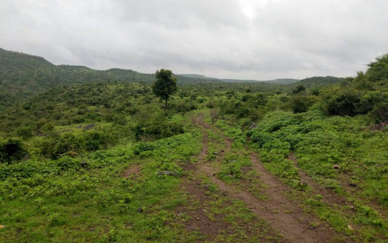 A super scenic road trip to Veer Dam – Places near Pune and Mumbai