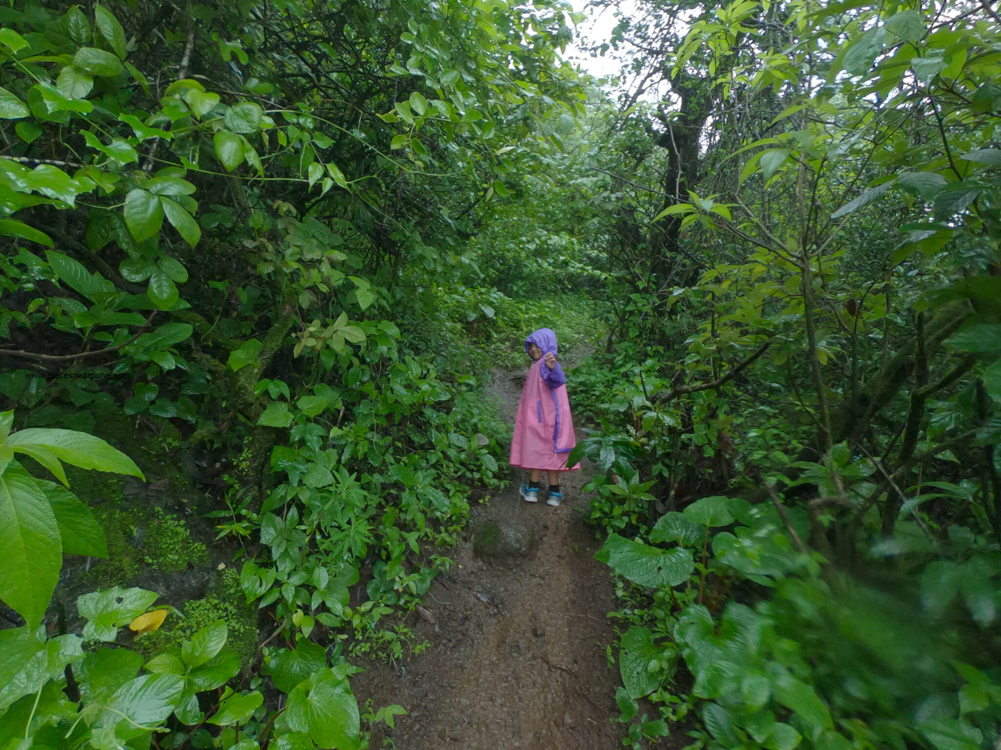 Trek to Kenjalgad Fort – a small, but interesting trek near Wai ...