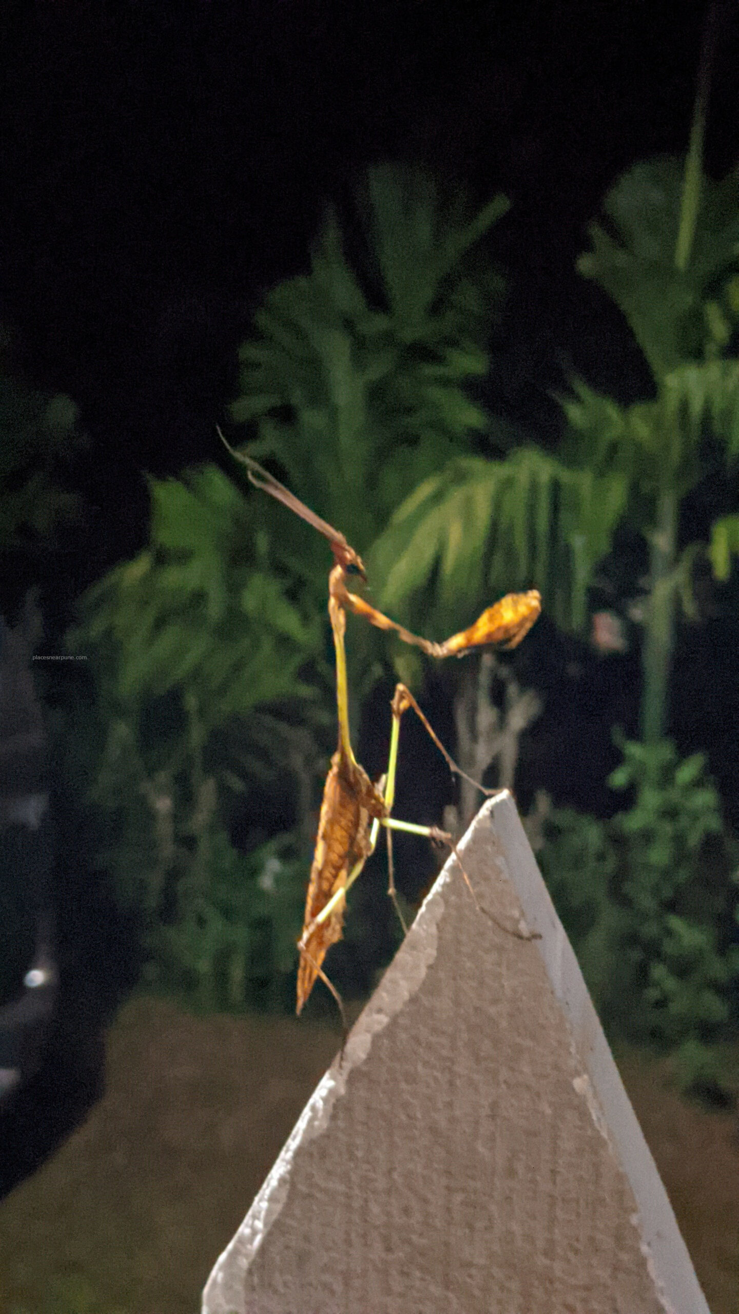 Maitri Farms, a do-nothing farmstay in the middle of nowhere – Places ...