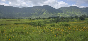 Raireshwar Fort Trek – a wholesome monsoon experience – Places near ...