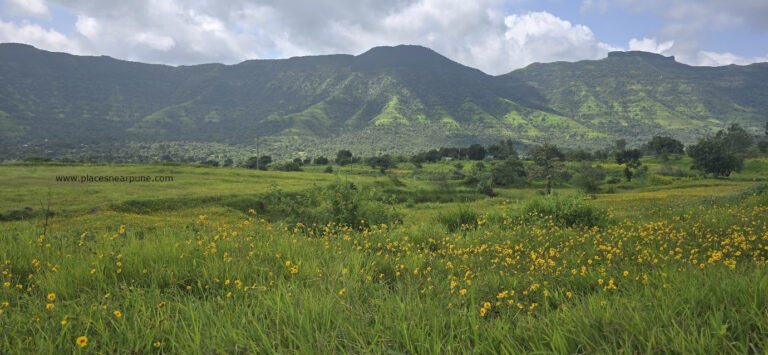 Raireshwar Fort Trek – a wholesome monsoon experience – Places near ...