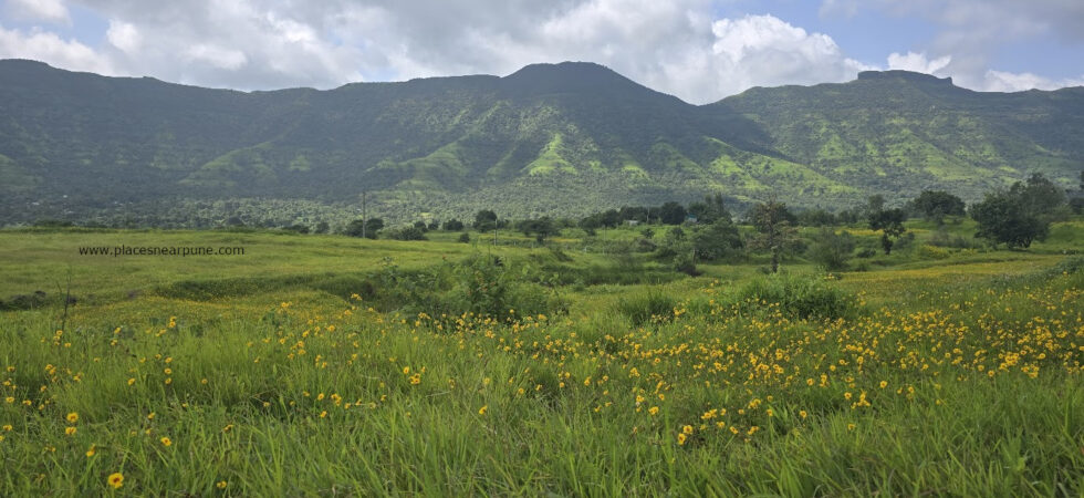 Raireshwar Fort Trek – a wholesome monsoon experience – Places near ...