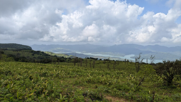 Raireshwar Fort Trek – a wholesome monsoon experience – Places near ...