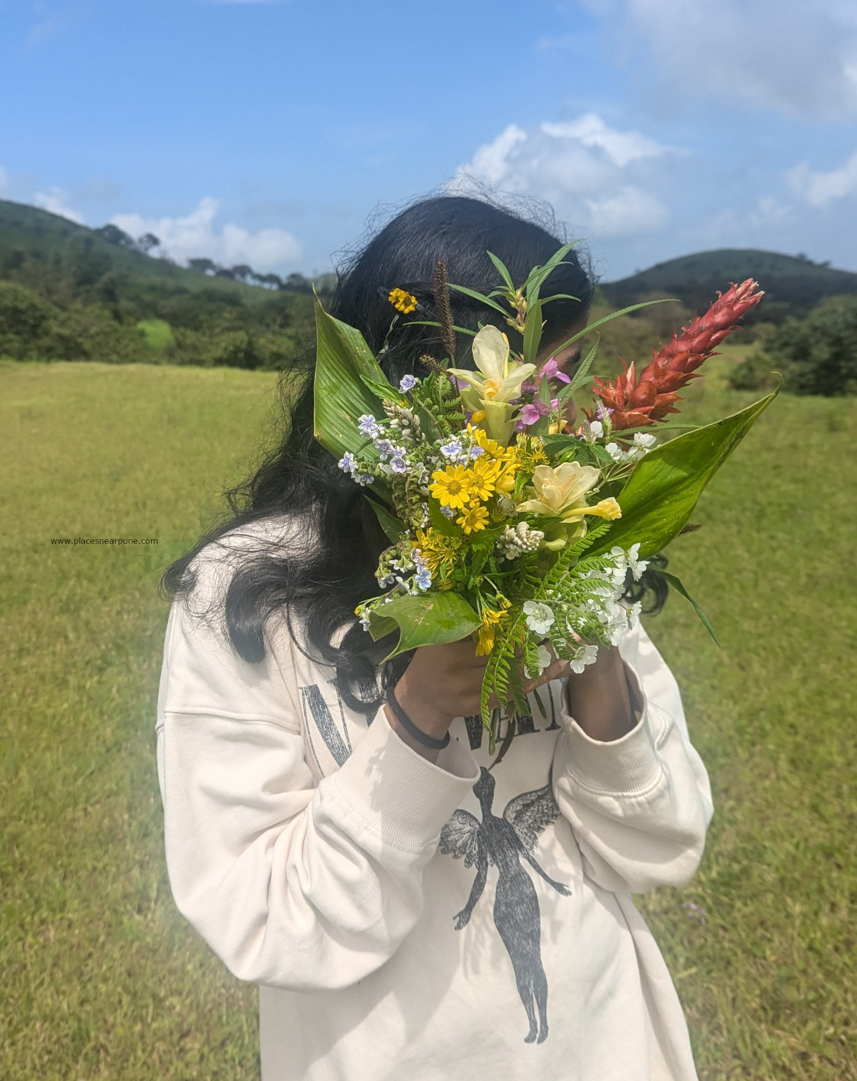 Raireshwar Fort Trek – a wholesome monsoon experience – Places near ...