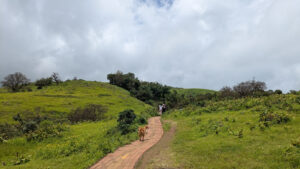 Raireshwar Fort Trek – a wholesome monsoon experience – Places near ...