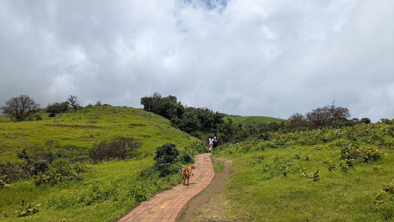 Raireshwar Fort Trek – a wholesome monsoon experience – Places near ...